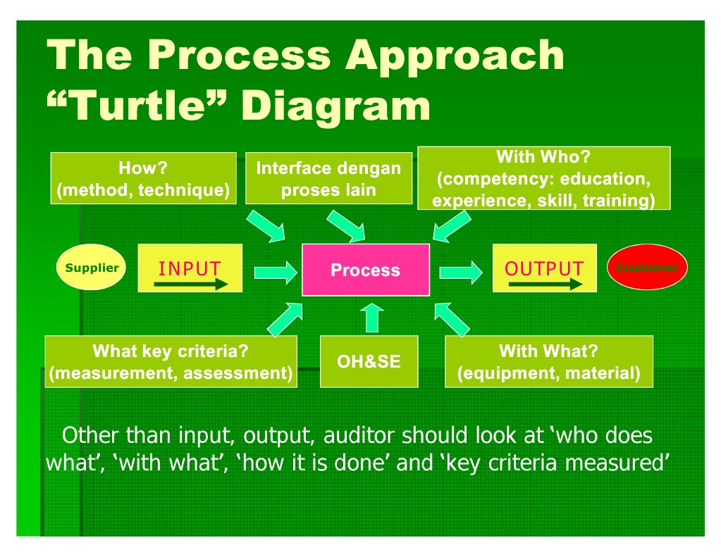 The Process Approach Turtle Diagram | PDF