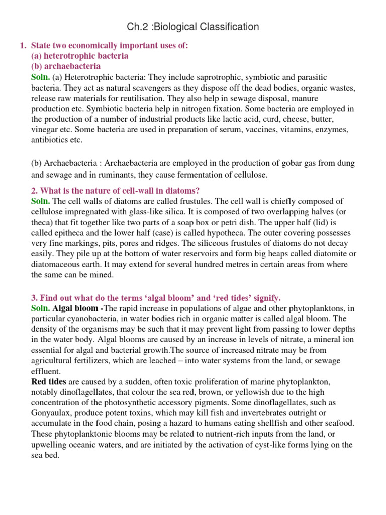 Chapter 2 Biological Classification | PDF | Virus | Protozoa