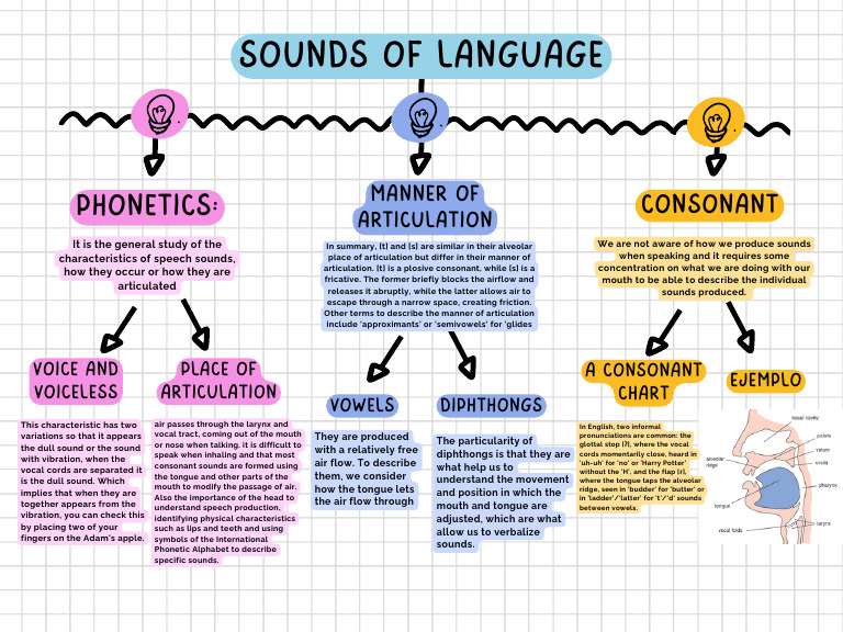 Sounds of Language | PDF | Consonant | Phonetics