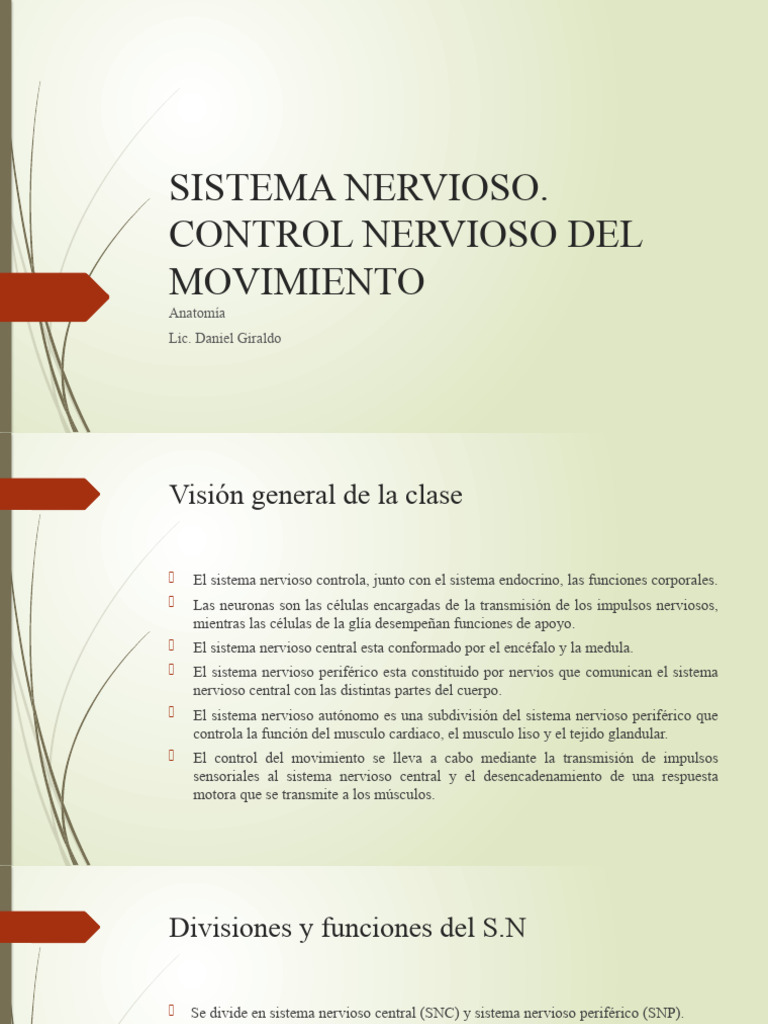 Anatomía del Control Nervioso del Movimiento | PDF | Sistema nervioso ...