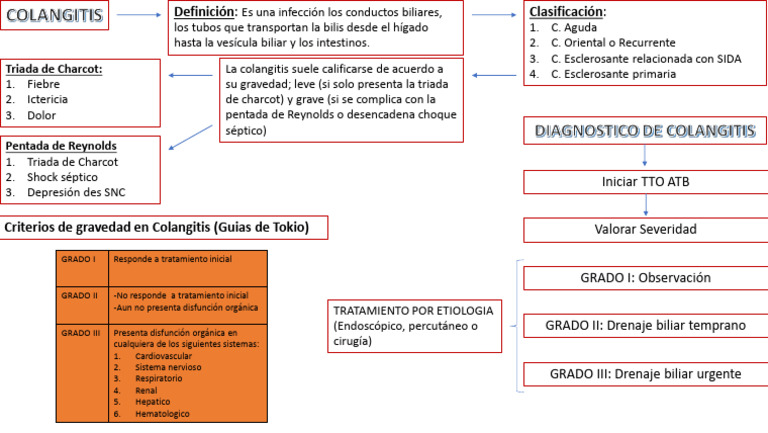 Colangitis: Tipos, Diagnóstico y Tratamiento | PDF