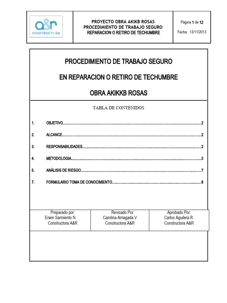 PTS N°2 - Reparacion o Retiro de Techumbre | PDF | Andamio