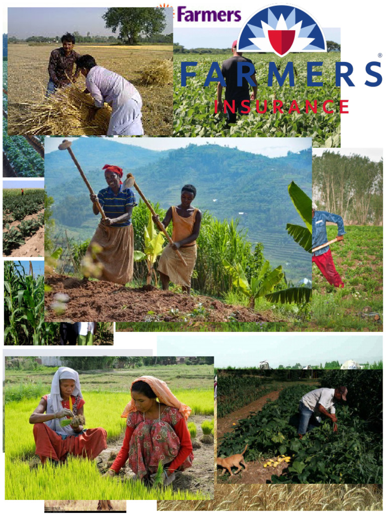 Farmers Collage | PDF