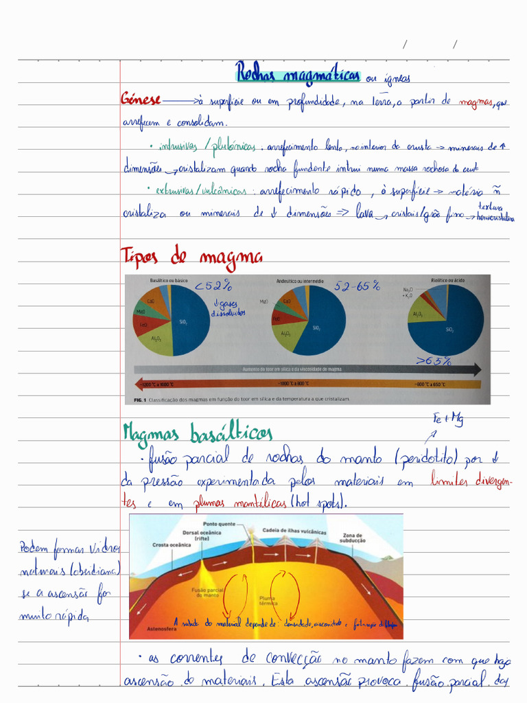 Resumos teste de recuperação_240516_192413 | PDF
