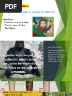 Assignment 6 | PDF | Gorilla | Trees