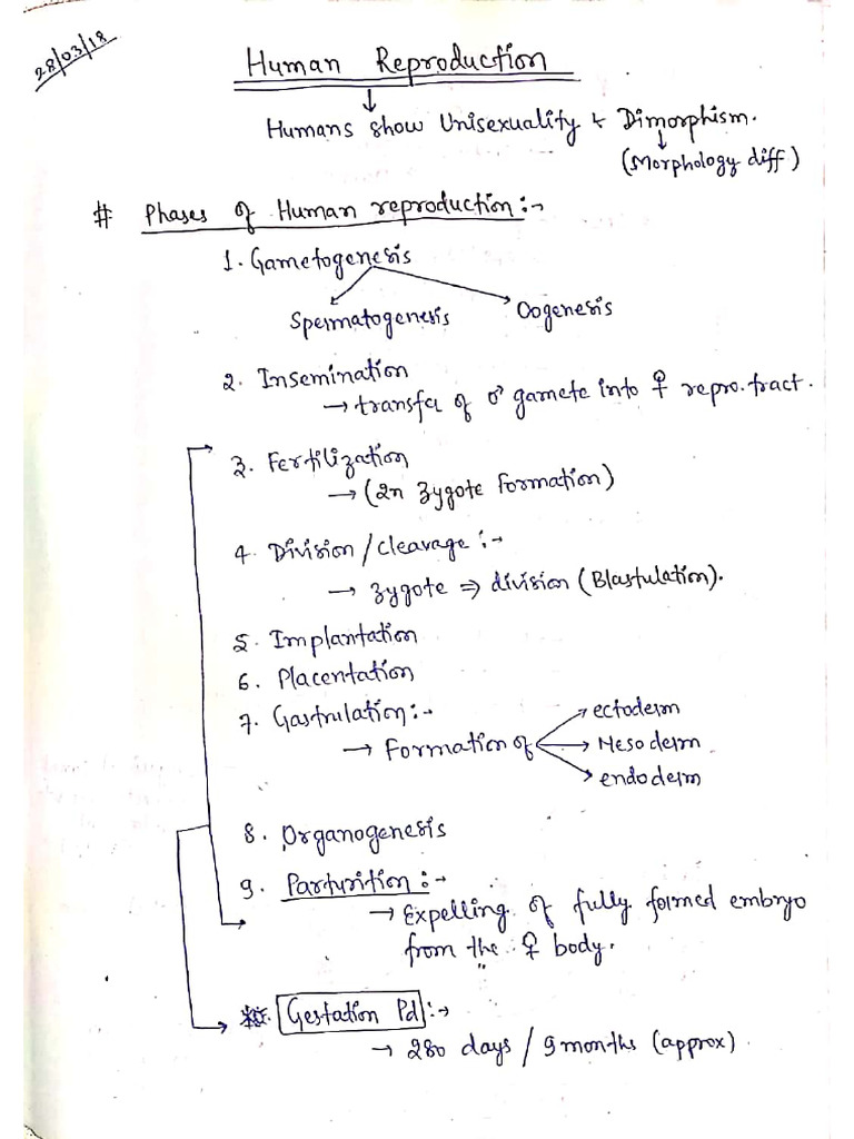 Human Reproduction | PDF