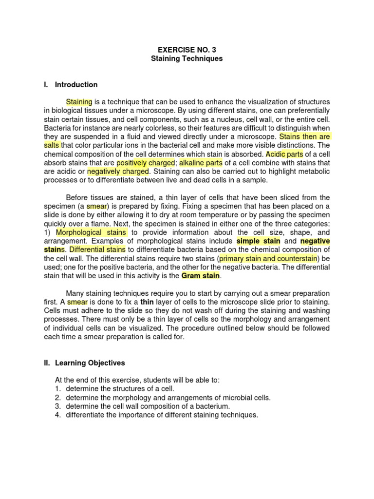BIO107.2 - EXERCISE NO.3 | PDF | Staining | Bacteria