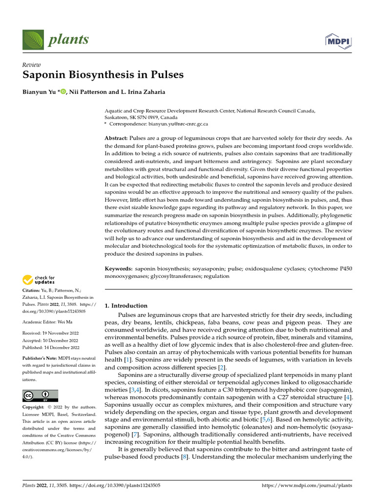 2022 - Saponin Biosynthesis in Pulses | PDF | Bean | Cytochrome P450