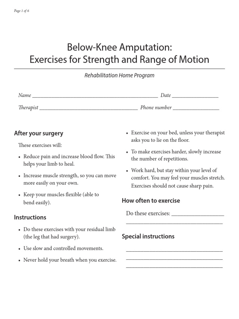 BKA Strength Ex's and ROM | PDF | Hip | Anatomical Terms Of Motion