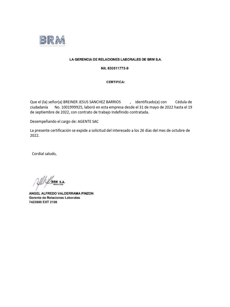 Carta Laboral BRM | PDF