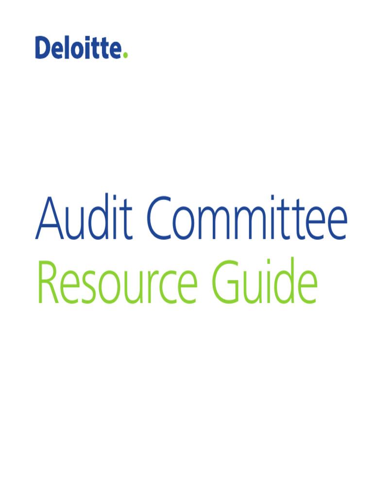 Audit Committee Best Practices Guide | PDF | Internal Audit | Internal ...