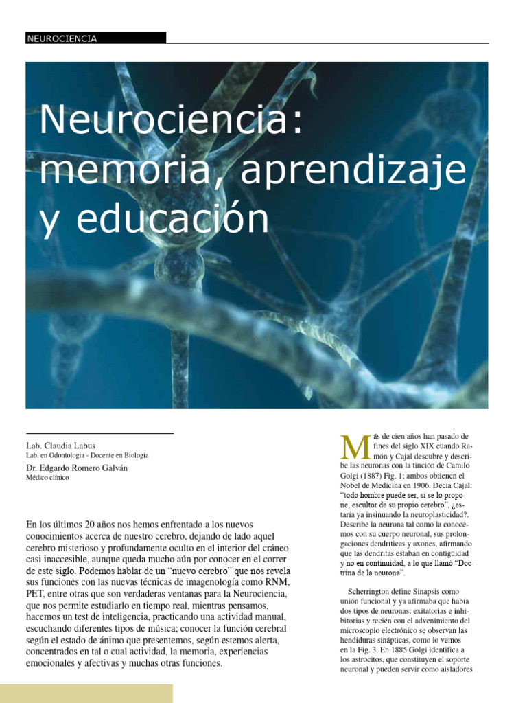 Labus Neurociencia Memoria Aprendizaje Y Educacion Pdf Sinapsis