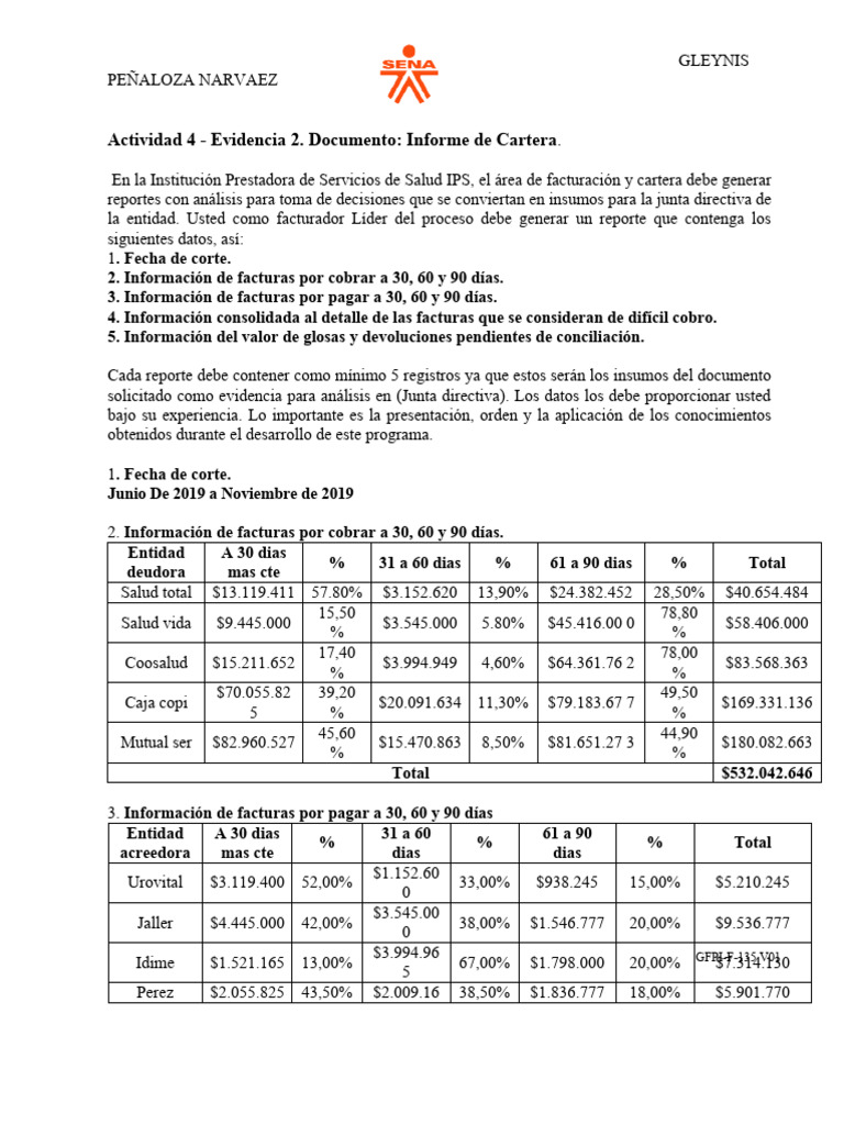 Actividad 4 -Evidencia 2 Documento Informe de Cartera | PDF