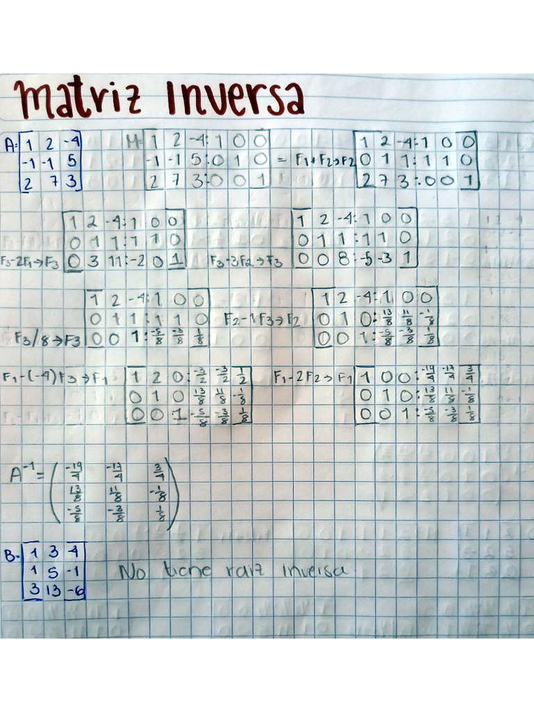 MATRIZ INVERSA | PDF
