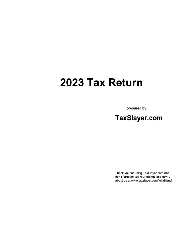 2023 Tax Return | PDF