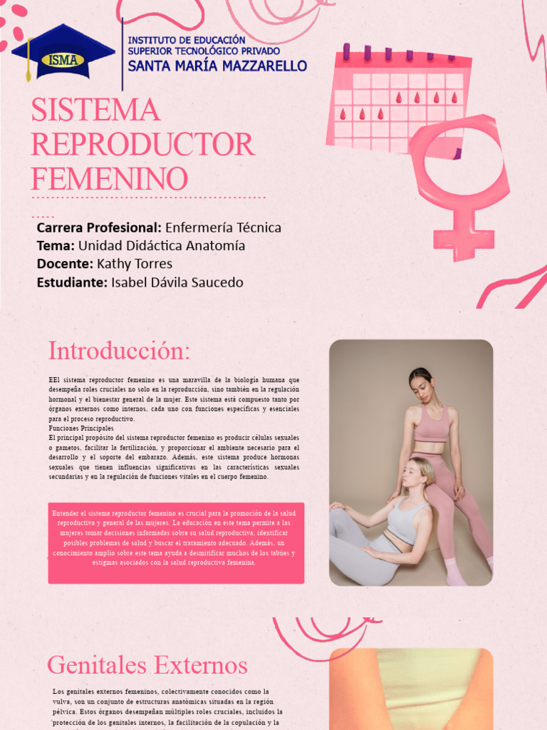 Isabel Davila Saucedo Sistema Reproductor Femenino | PDF | Ciclo ...