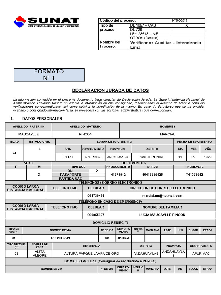 Formato Sunat | PDF | El proceso de destitución | Documento de identidad