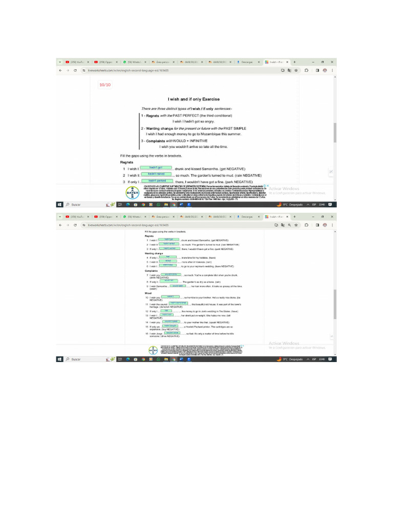 Task 1 - 2 - I Wish-If Only Worksheet - Flores Anaela | PDF