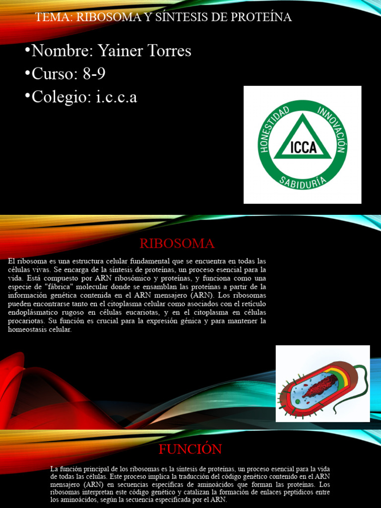 Expo Cision | PDF | Ribosoma | Rna