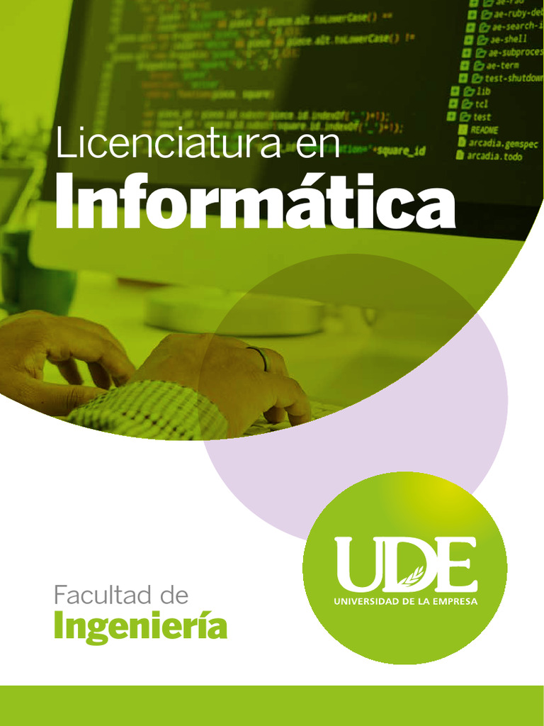 Licenciatura en Informatica | PDF | Informática | Plan de estudios