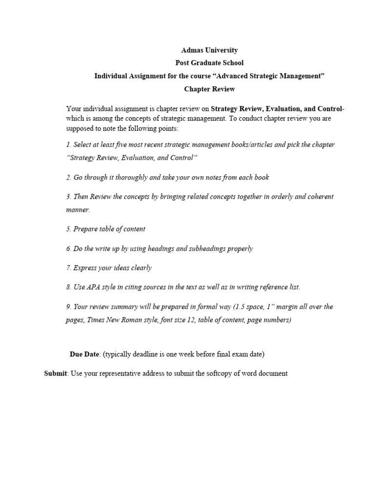 SM Individual Assignment | PDF