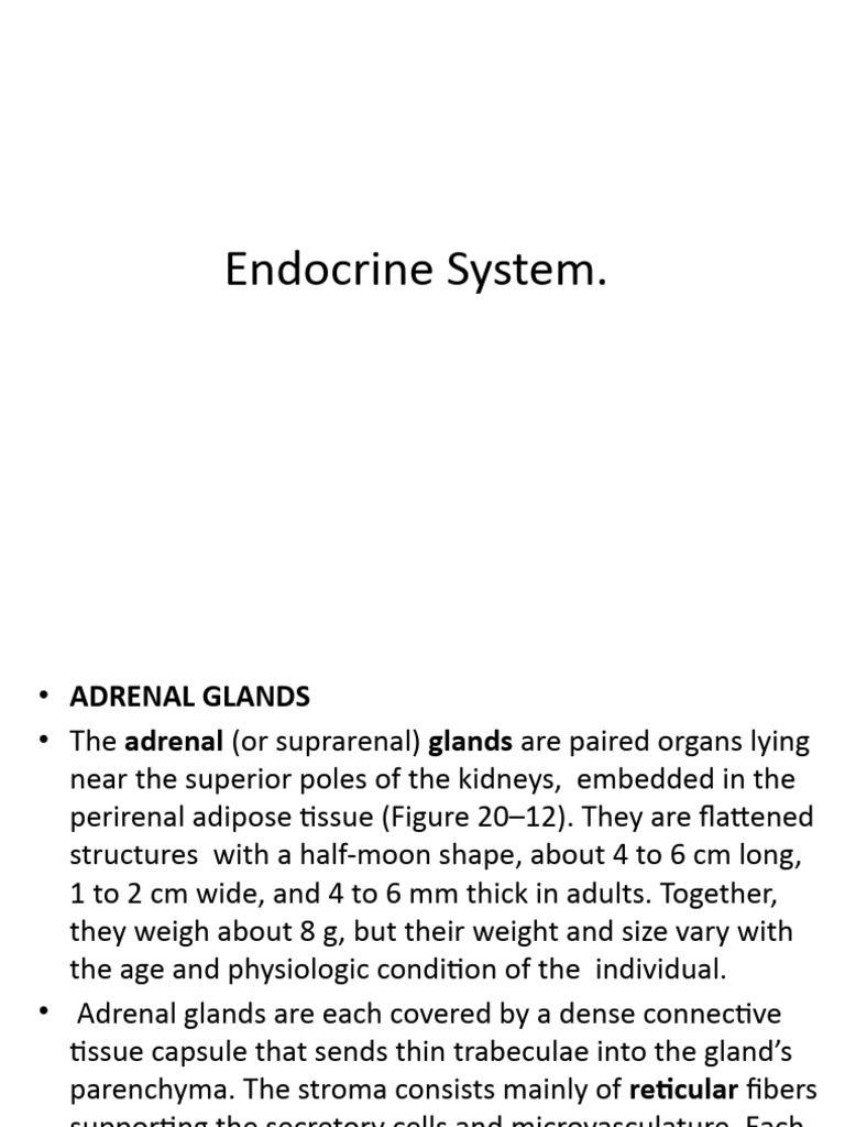 Endocr. System - Adrenal Gland | PDF | Adrenal Gland | Endocrine System