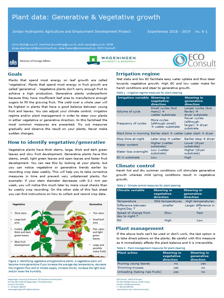 6_plant-data-collection-interpretation_0 | PDF | Plants | Leaf