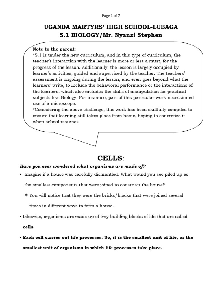 S.1 Holiday Work | PDF | Cell (Biology) | Plants