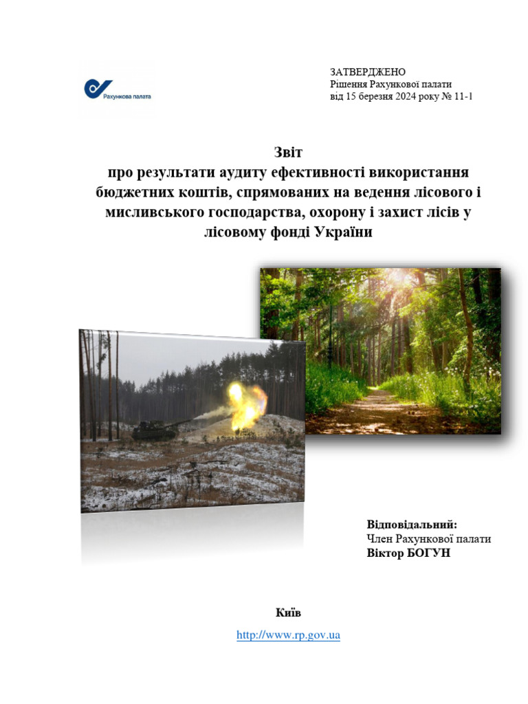 Zvit 11-1 2024 | PDF