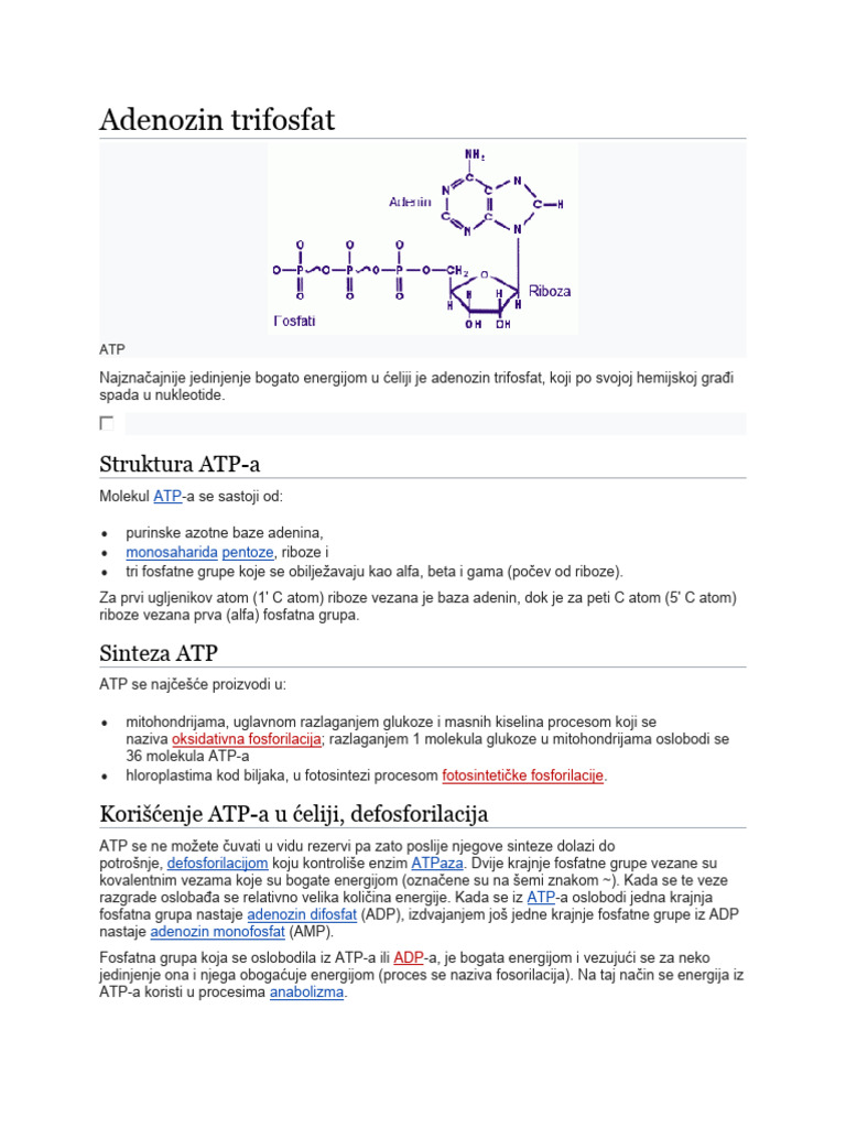 Adenozin Trifosfat: Struktura ATP-a | PDF