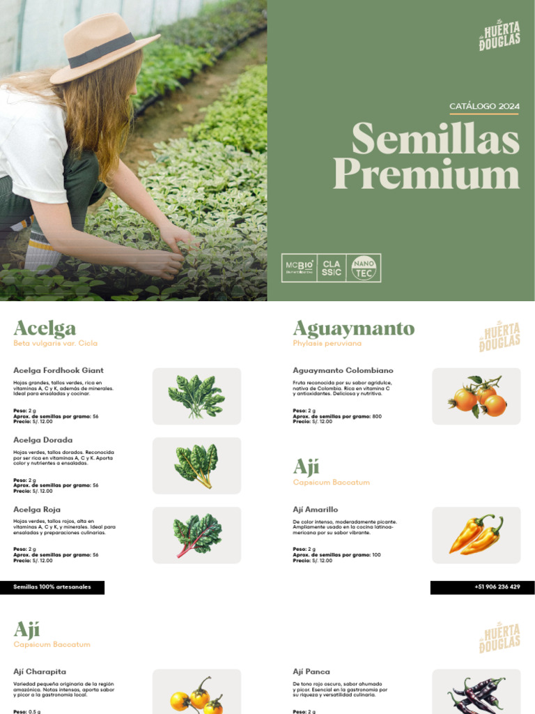 Catálogo Semillas LHDD | PDF | Cilantro | Perejil