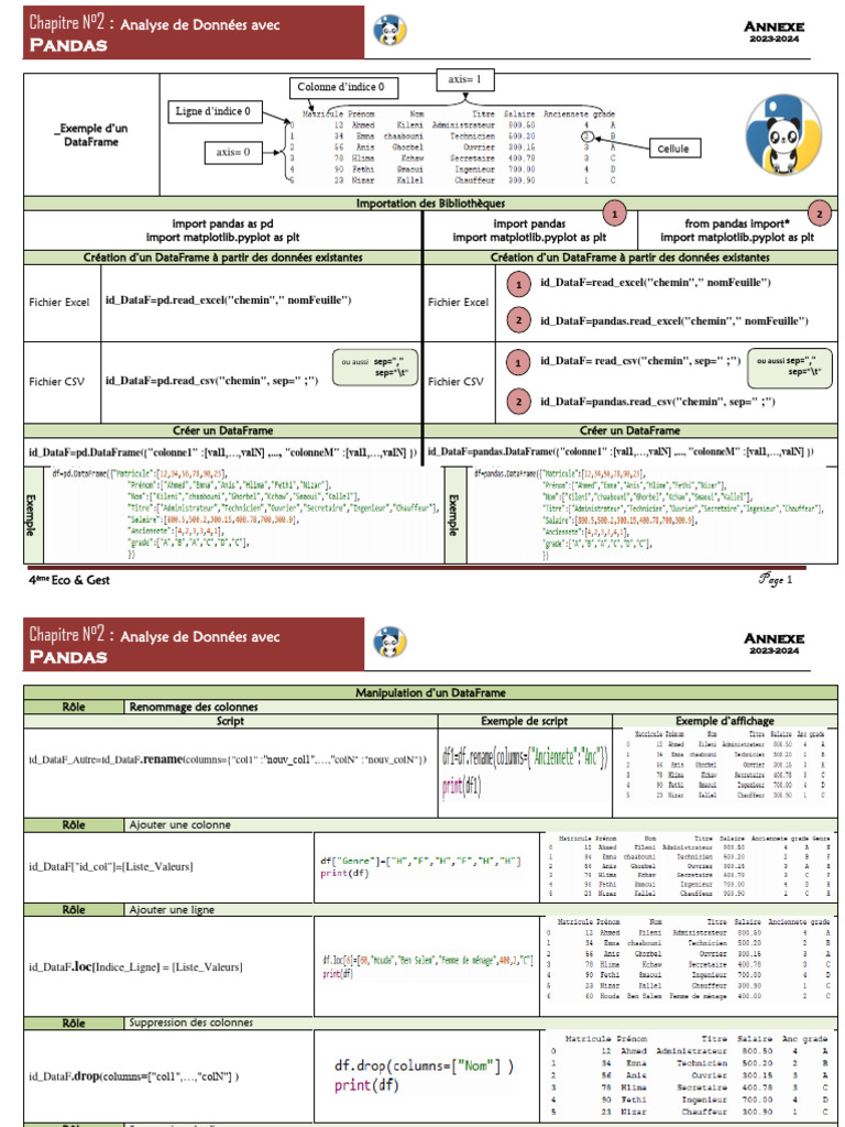 Analyse de données avec Pandas | PDF | Informatique | Informatique