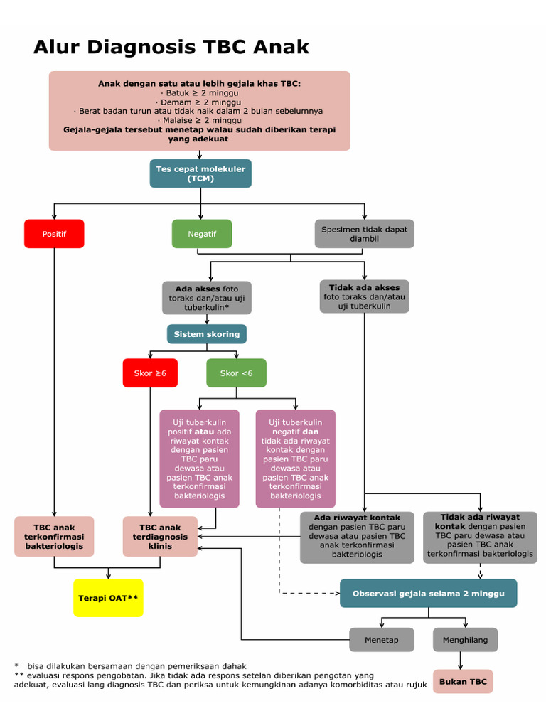 Alur Diagnosis TBC Anak | PDF