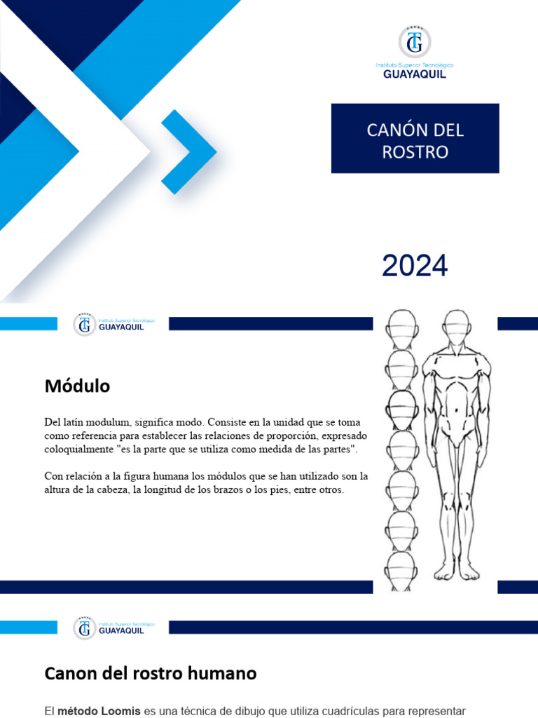 Canon del rostro humano | PDF