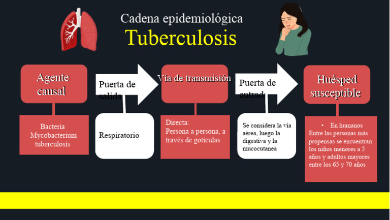 Tuberculosis Cadena Epidemiologica | PDF Tuberculosis Cadena Epidemiologica | PDF