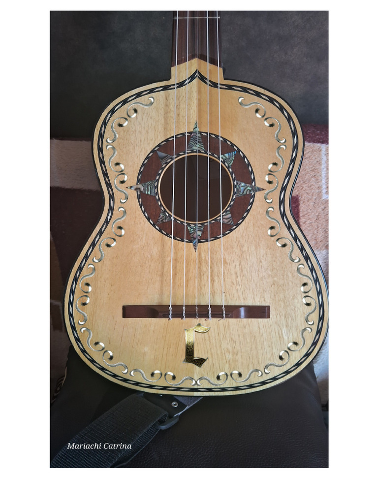 Diseño Vihuela 1 | PDF