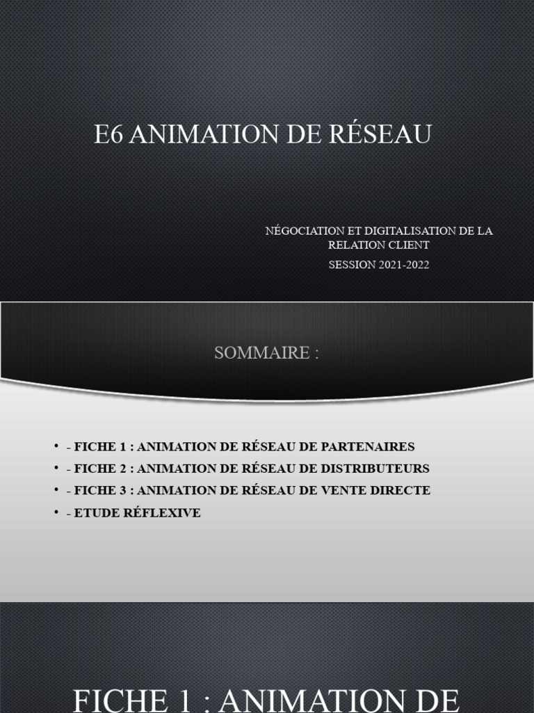 E6 3fiche | PDF | Business | Économie d'entreprise