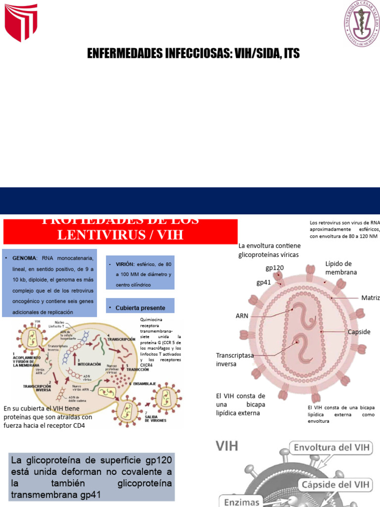 VIH/SIDA: Propiedades y Transmisión | PDF | VIH | Retrovirus