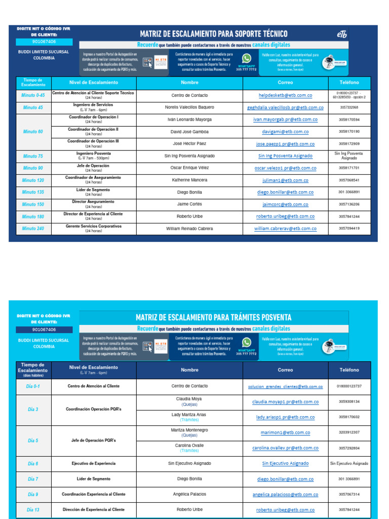 Matriz de Escalamiento (1) (1) | PDF