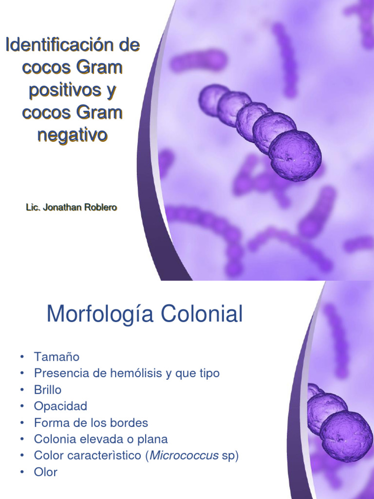 c4 Id Cocos Gram Positivo | PDF