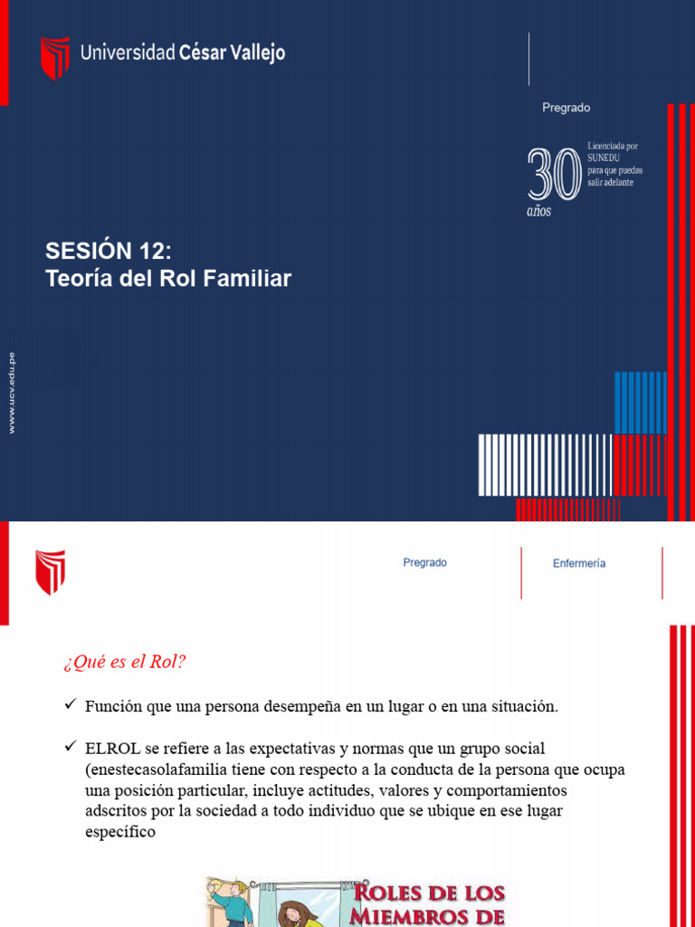 Sesion 12 Teoria Del Rol Familiar | Descargar gratis PDF | Familia ...