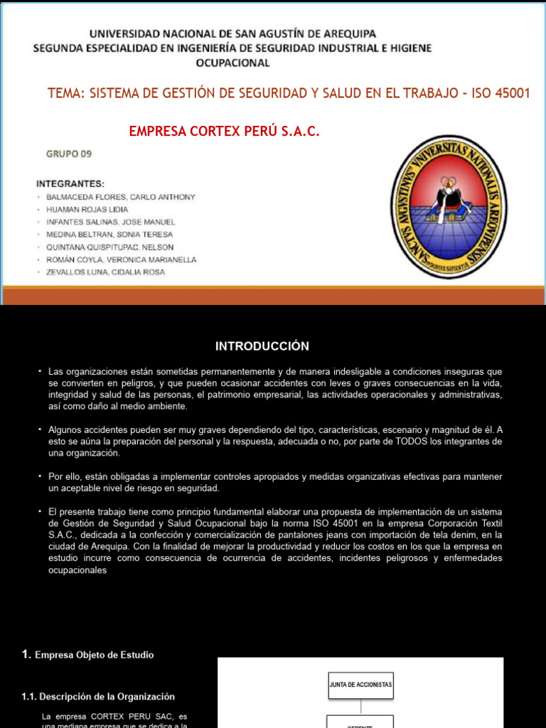 Sig Final | PDF | Business | Planificación