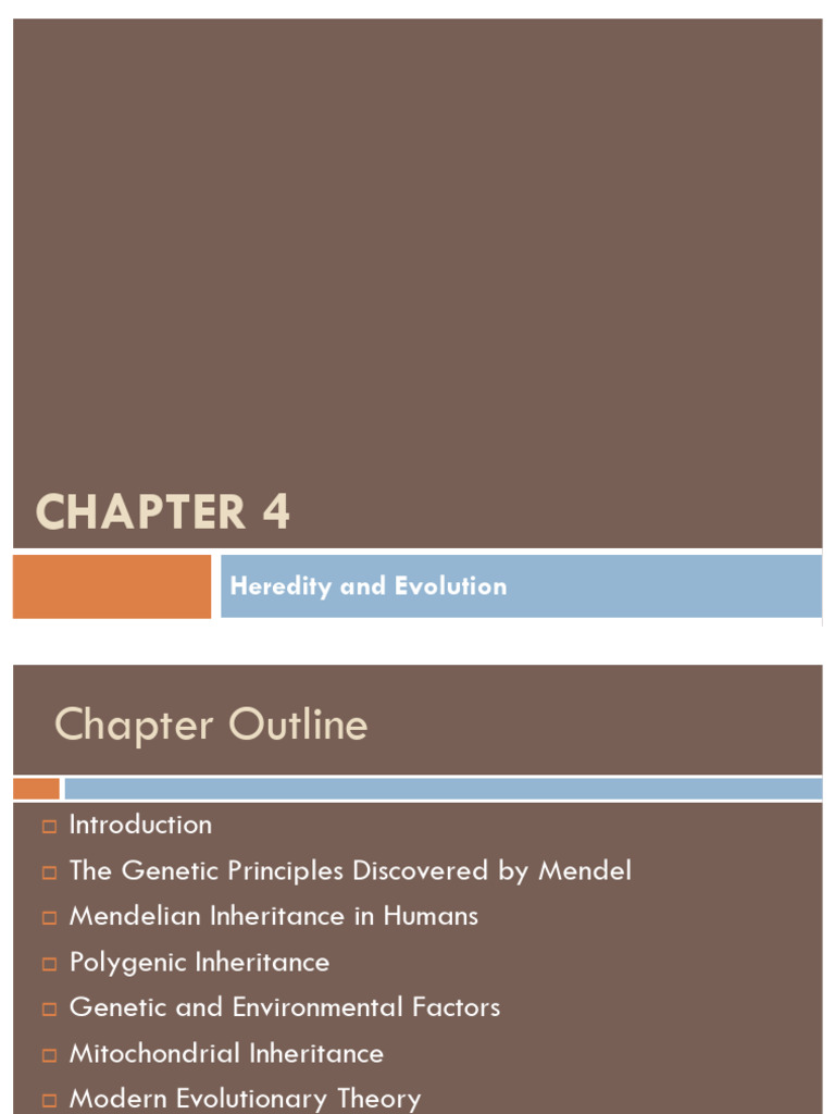 Heredity and Evolution Basics | PDF | Dominance (Genetics) | Allele