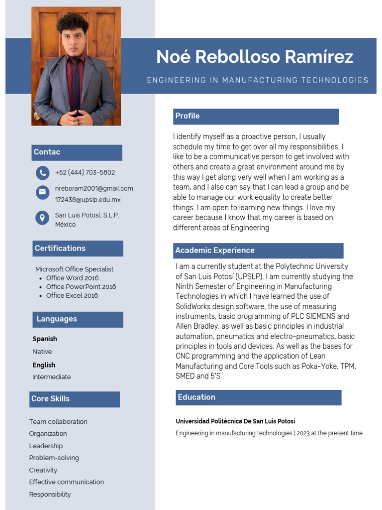 Noé Rebolloso Ramírez CV | PDF | Engineering | Computing