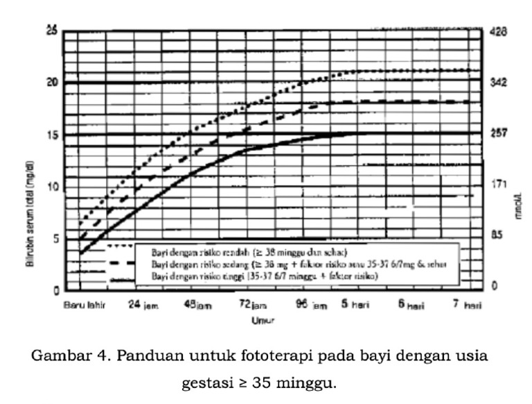 PANDUAN FOTOTERAPI | PDF