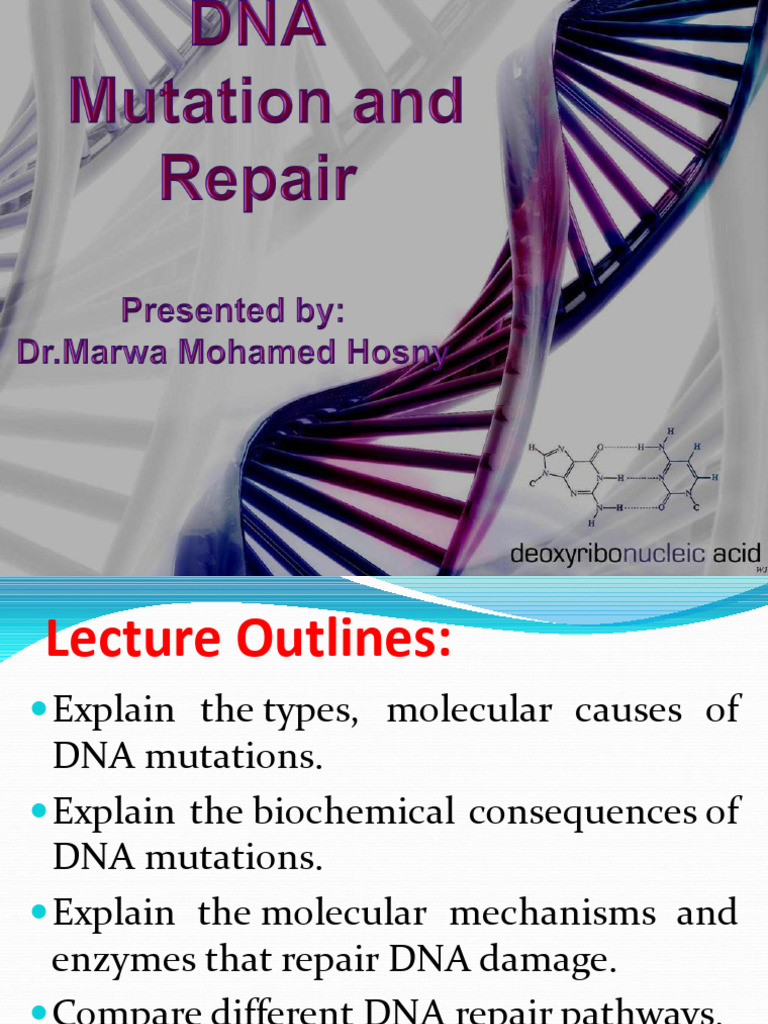 DNA Mutation and Repair | PDF | Genetic Code | Dna Repair