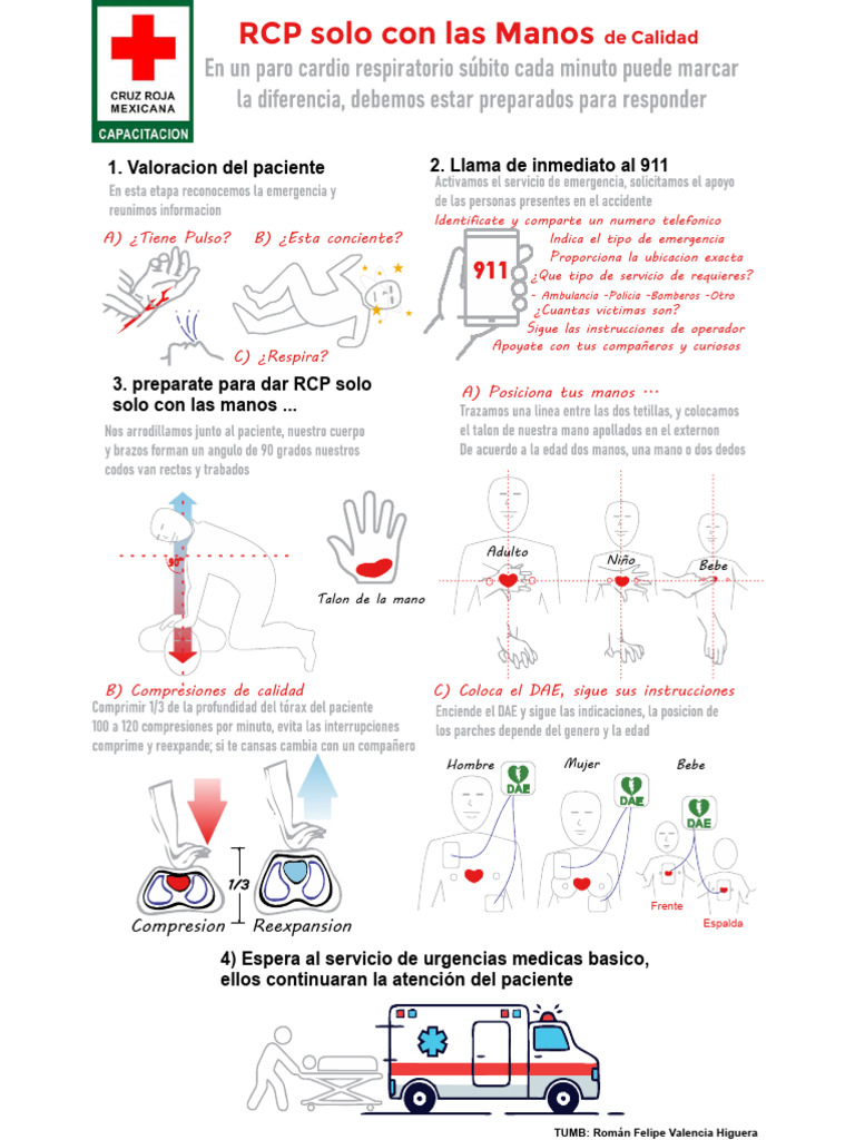 RCP Solo con Manos: Guía Rápida | PDF