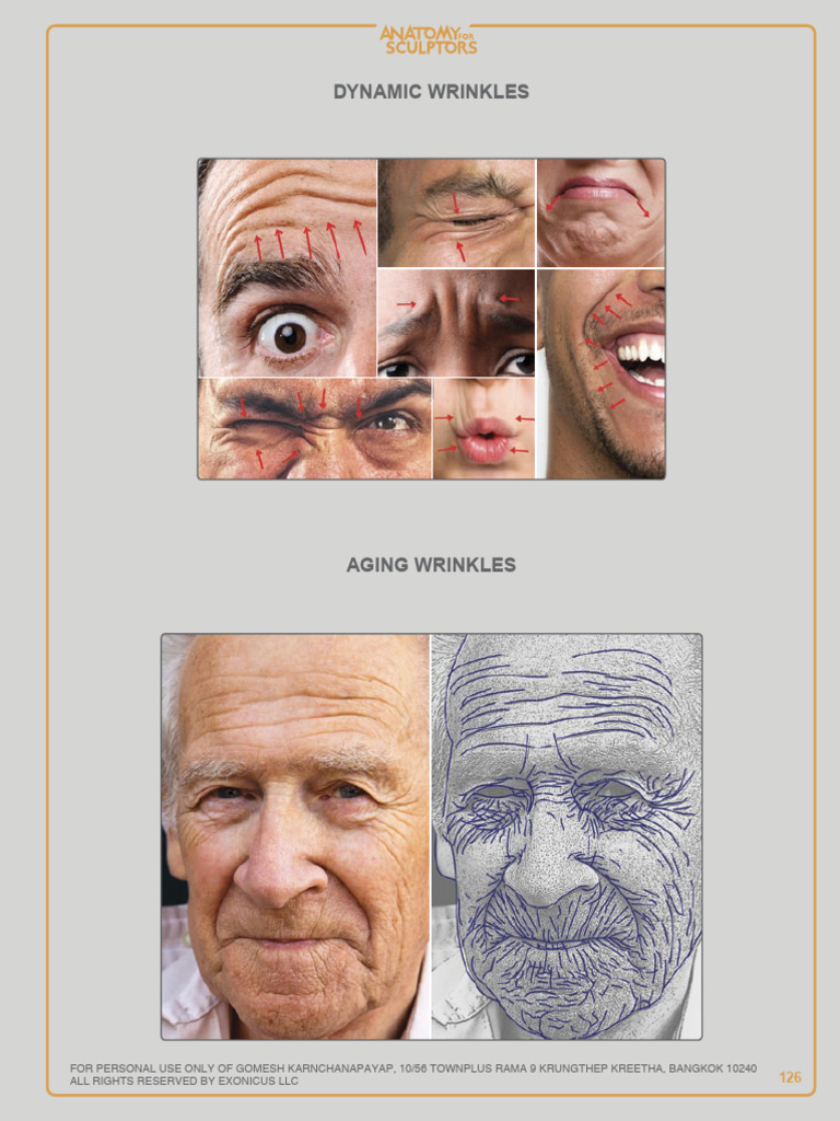 Dynamic Wrinkles in Sculpting | PDF