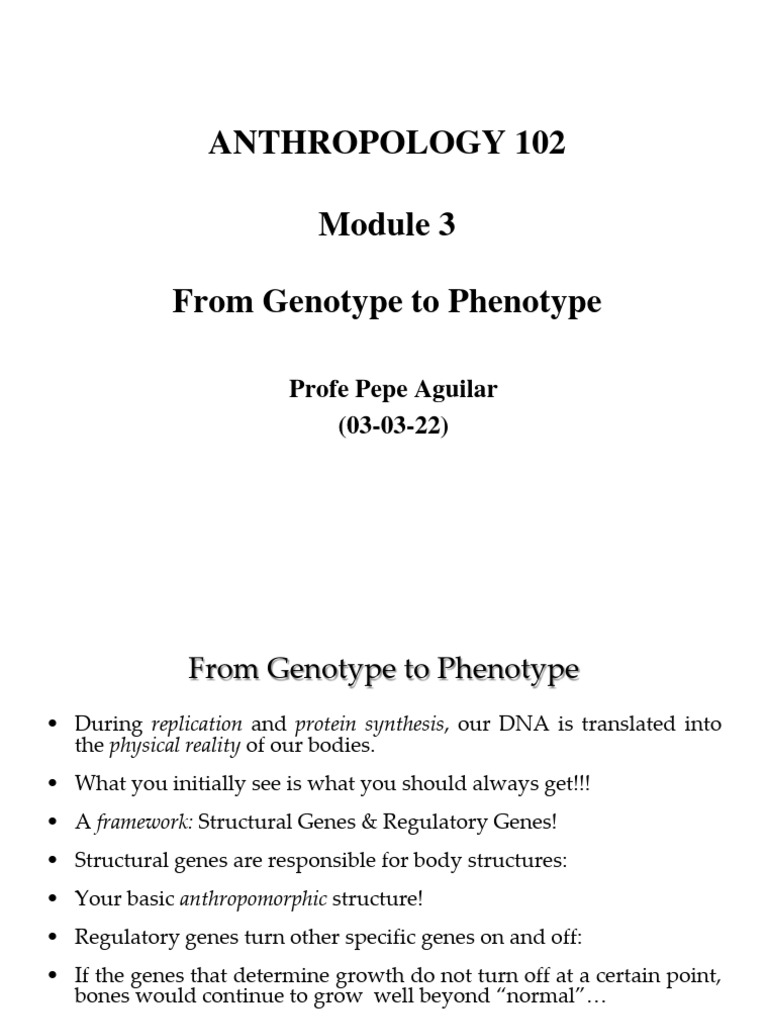 Anth 102 Mod 4 (Geno To Pheno) B&W | PDF | Gene | Genetics