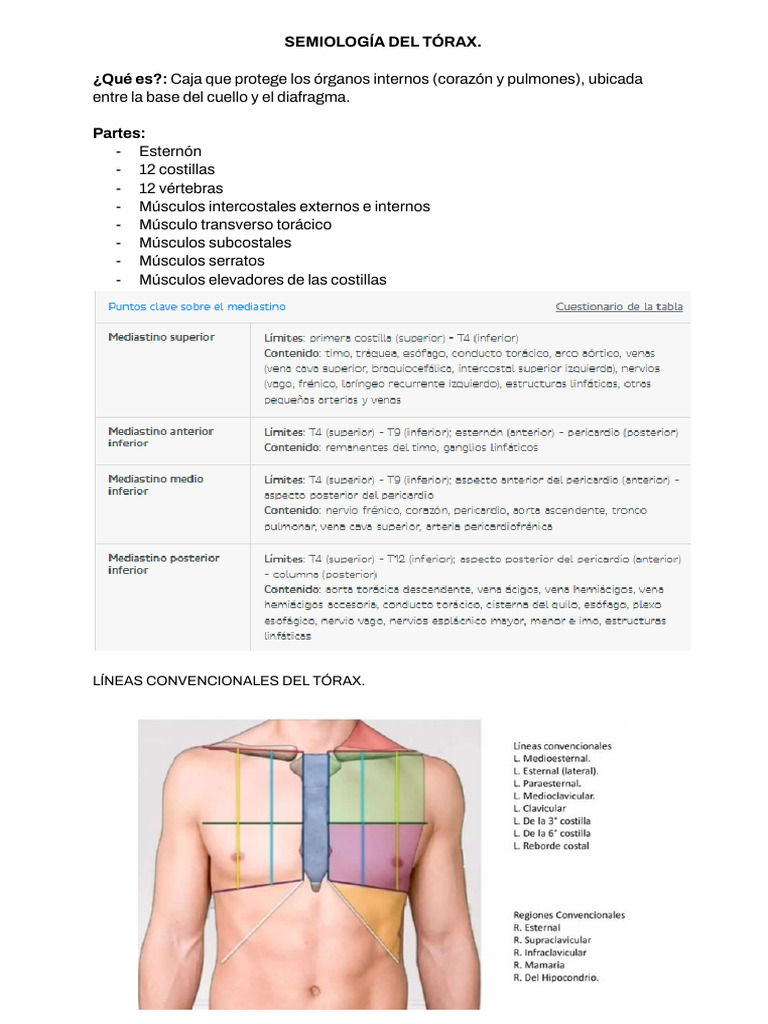 Semiología Del Tórax | Descargar gratis PDF | Tos | Enfermedades y ...